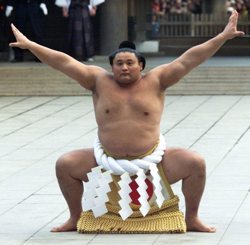 【相撲】力士の歴代イケメン人気ランキング57!横綱・大関・関脇・小結が多数【2021最新版】