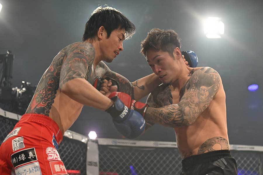 飯田将成の昔は鳳龍会総長！身長と経歴・強さ・彼女やぱんちゃん璃奈との関係・吉永啓之輔との試合や八百長疑惑の声まとめ